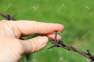 Barbed Wire Dangers: Risks of Contact and Injuries