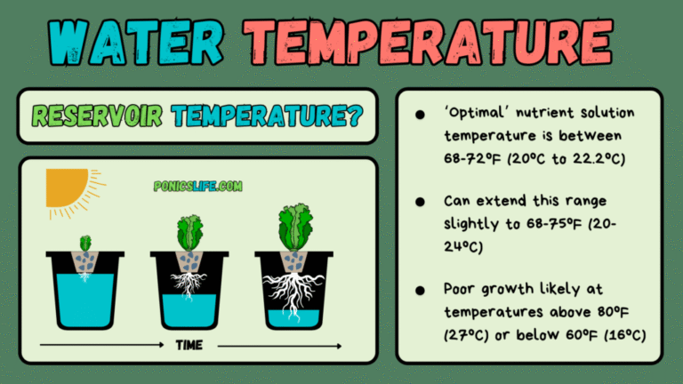Best Water Temperature for Plant Growth & Health