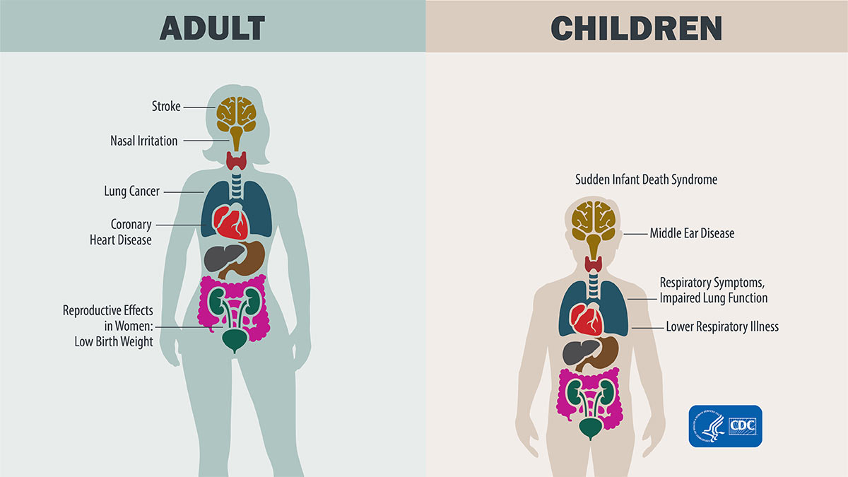 Chore Boy Smoking Dangers: Health Risks You Should Know