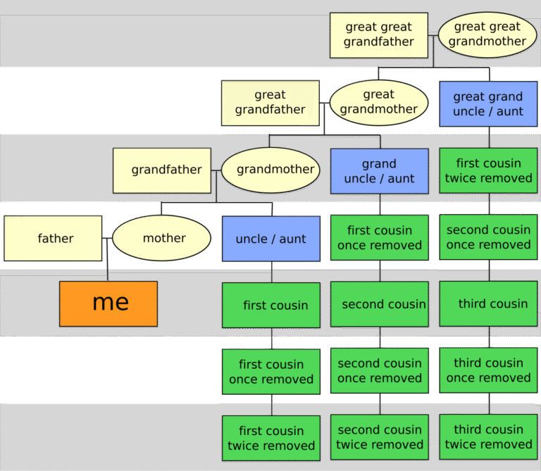 First Cousin Once Removed: Definition & Family Ties
