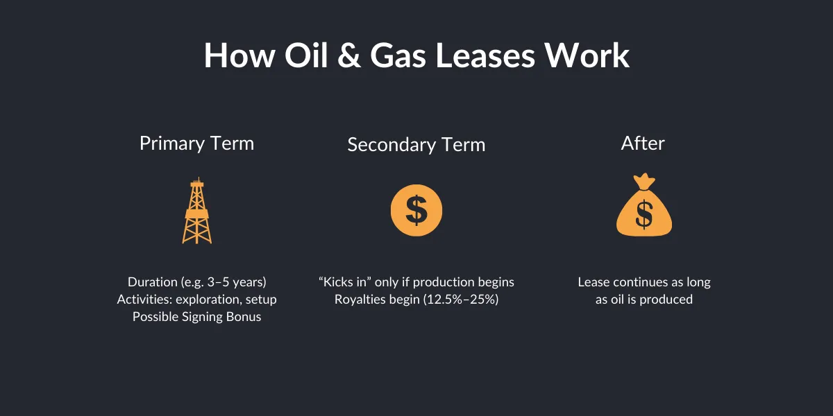 Found Oil on Your Property? What To Do Next