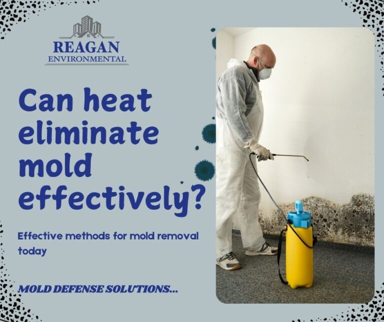 Kill Mold With Heat: How High Temperatures Work