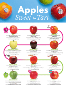 Soft Apple Varieties: Honeycrisp, Fuji, Gala & More