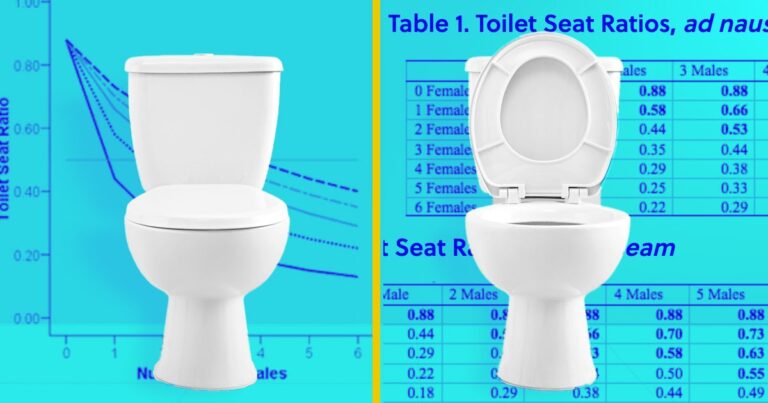 Toilet Seat Up or Down: Etiquette & Hygiene Guide